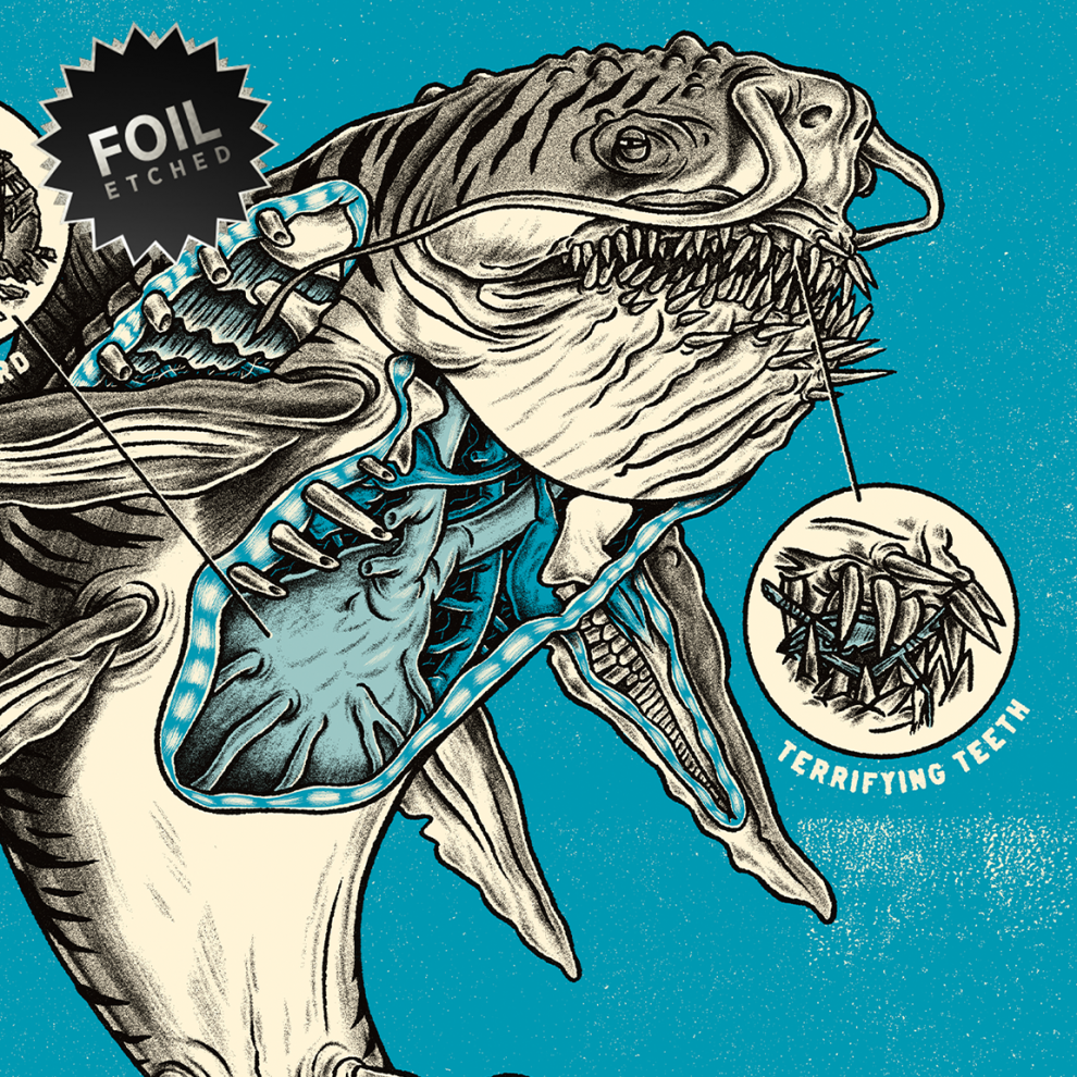 Monster Anatomy 101 Foil Etched Edition | Secret Lair