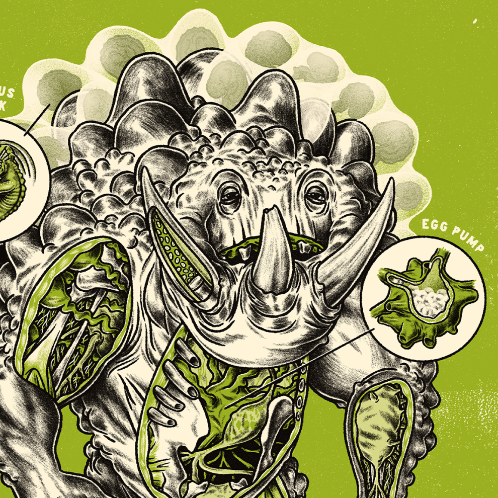 Monster Anatomy 101 | Secret Lair