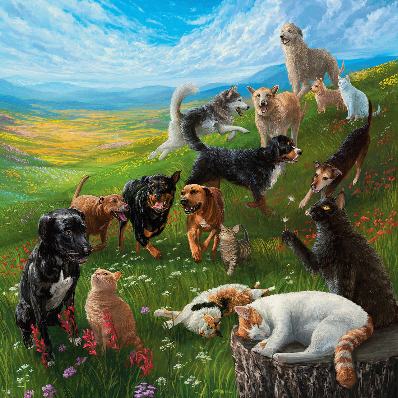 Secret Lair Commander Deck: Raining Cats and Dogs | Secret Lair Secret Lair Commander Deck: Raining Cats and Dogs | Secret Lair