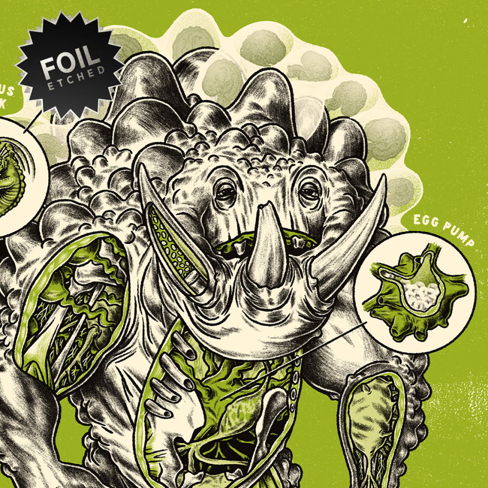 Monster Anatomy 101 Foil Etched Edition | Secret Lair