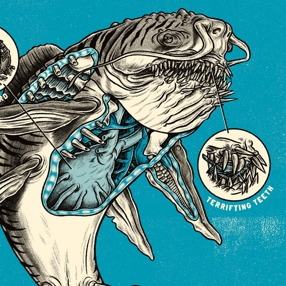 Monster Anatomy 101 | Secret Lair